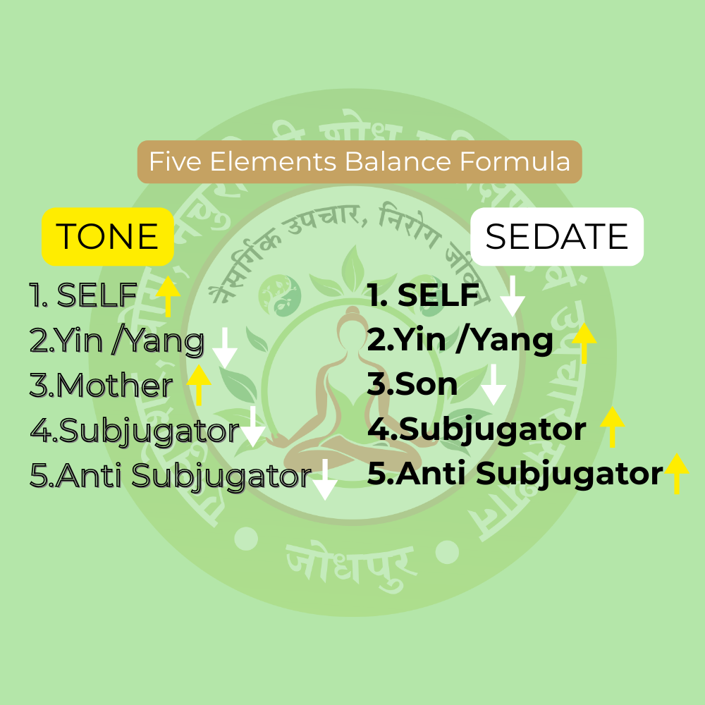 Five Element Balance Formula (TCM Logic) - Aynindia :Aynindia